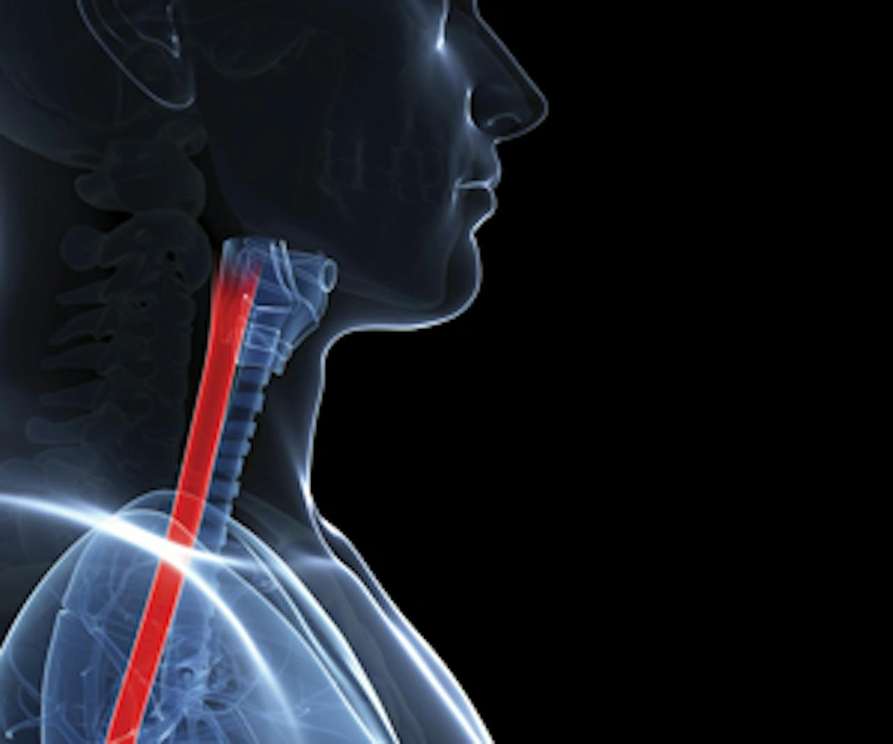 CPT for ENT: Changes to the Esophagoscopy Family of Codes | AAO-HNSF ...