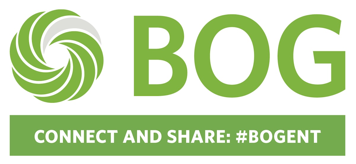 BOG Model Society Award | AAO-HNS Bulletin