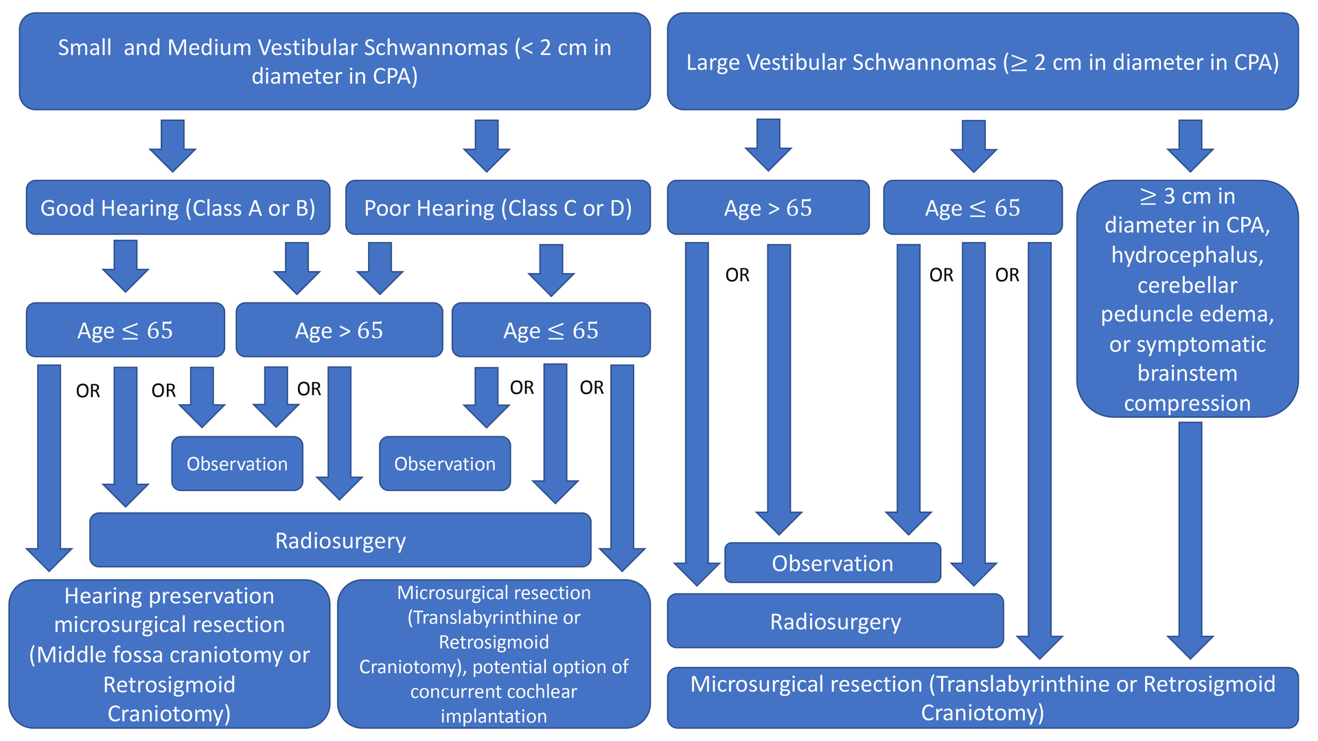 Contemporary Management of Vestibular Schwannoma | AAO-HNS Bulletin
