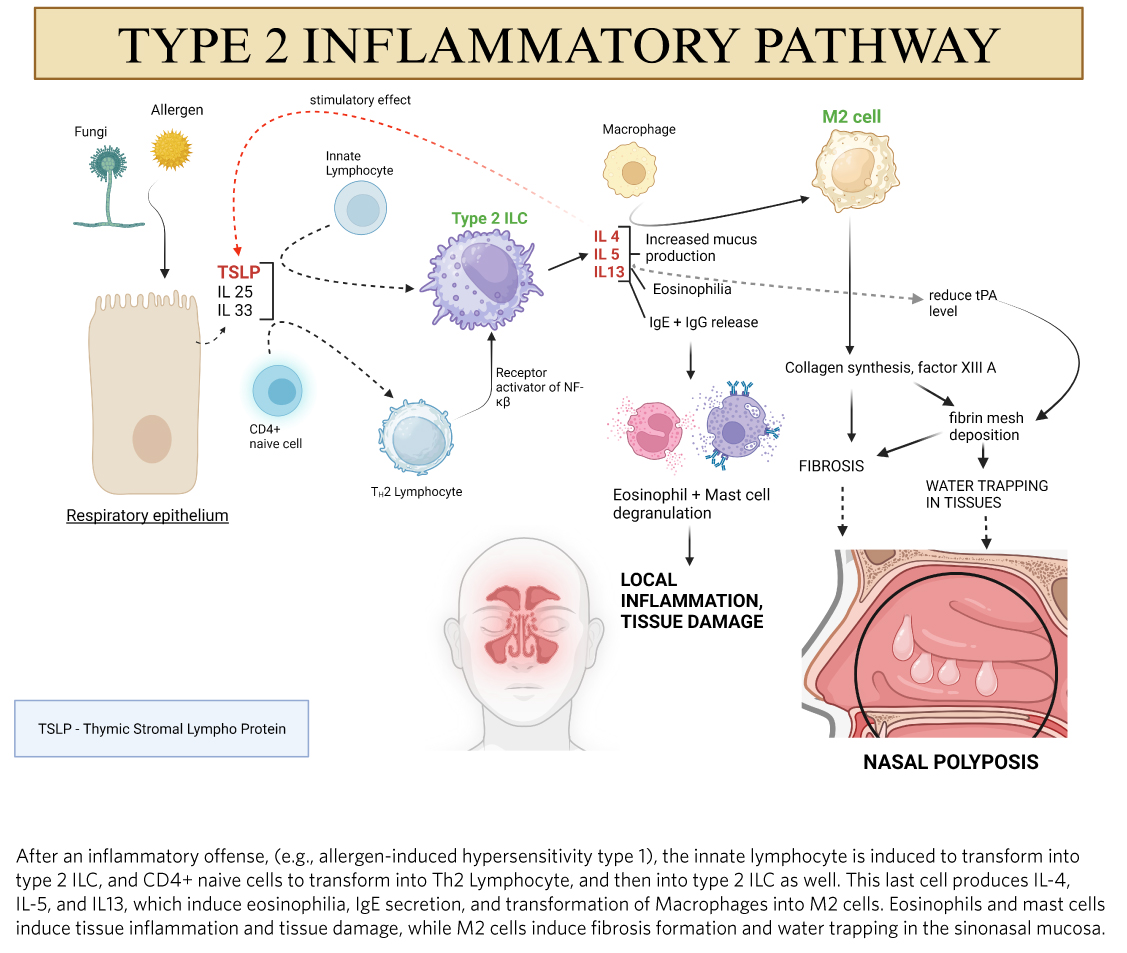 Biologics for Chronic Rhinosinusitis with Nasal Polyps | AAO-HNS Bulletin